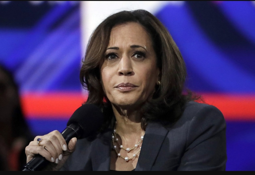 New 2028 Democratic Front-Runner Surges Ahead of Kamala Harris—Poll - powib