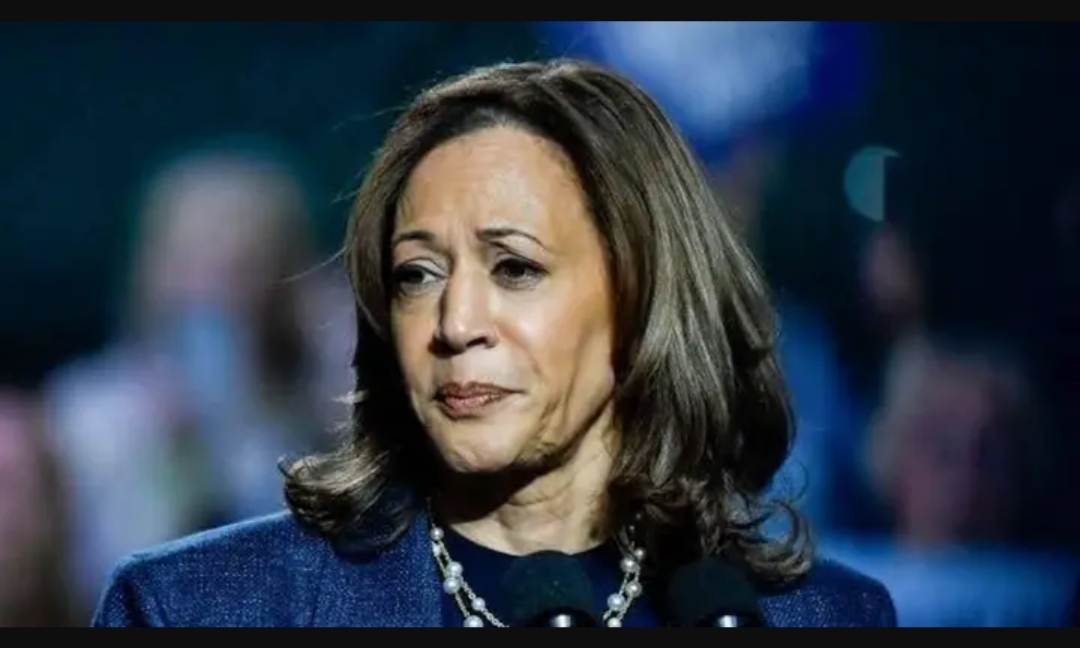Kamala Harris Sparks MAGA Meltdown With Fourth of July Post - powib